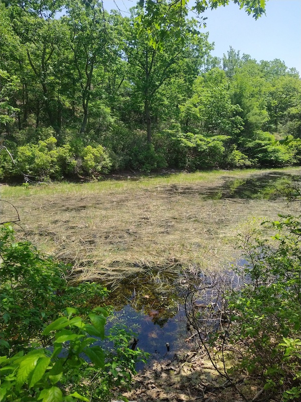 Terrace Pond North Trail Hiking Trail - West Milford
