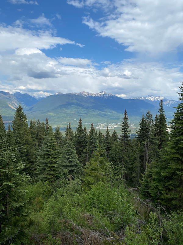 Westridge Family Loop Mountain Biking Trail - Valemount