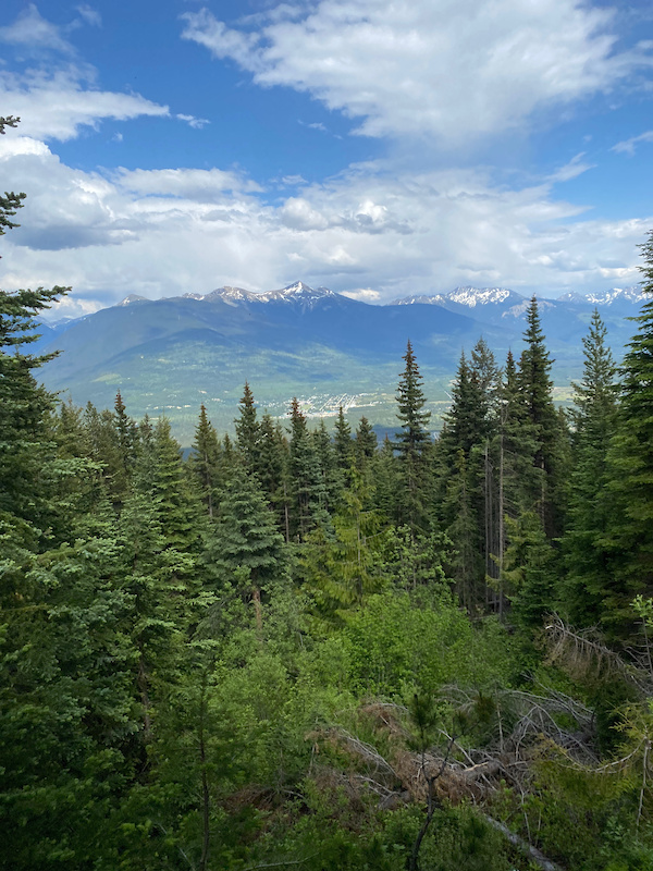 Westridge Family Loop Mountain Biking Trail - Valemount