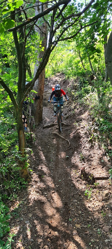 South Backa Region Mountain Biking Trails | Trailforks