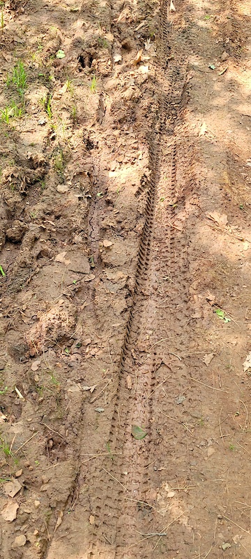 Powers Bluff, Arpin Mountain Biking Trails | Trailforks