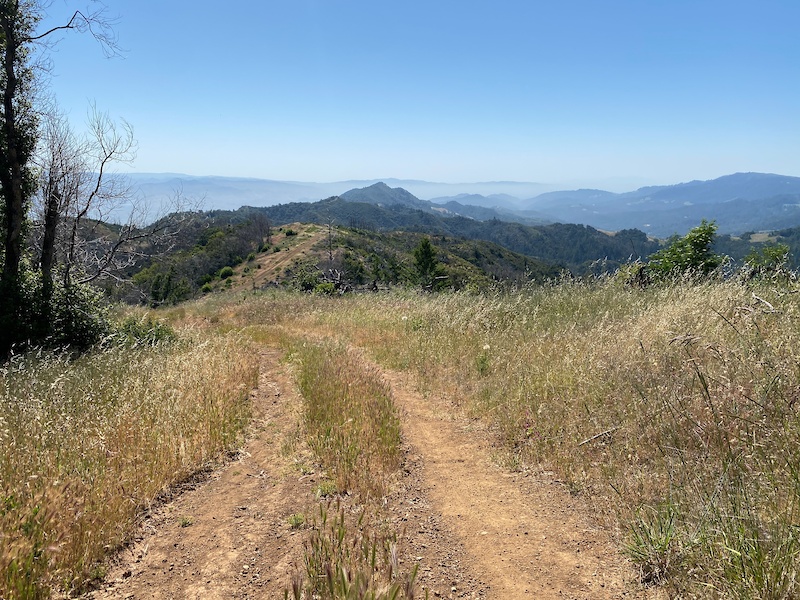 Gray Pine Trail Hiking Trail - Santa Rosa, California