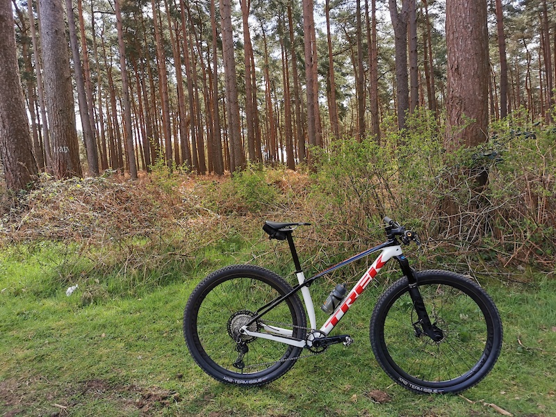 2021 Trek Procaliber 9.8 Medium For Sale