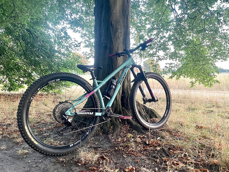 2019 Bird Zero 29 Hardtail - Medium For Sale