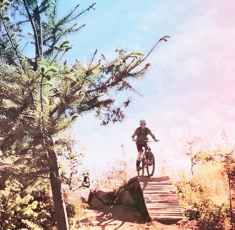 Cedar Dust Blue Drop Line Mountain Biking Trail - Bellingham