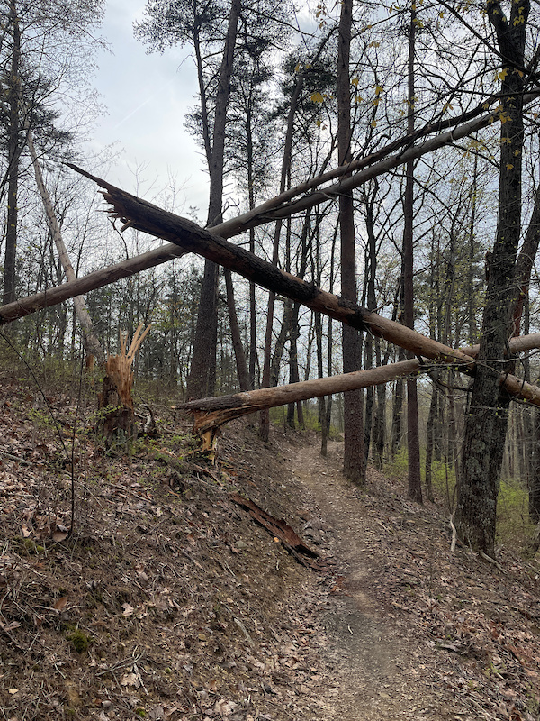 Tower Climb Trail Mountain Biking Trail - Collegedale