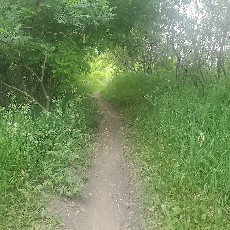 East Loop Mountain Biking Trail - Champlin, Minnesota