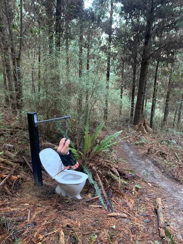 Nineties Mountain Biking Trail - Whare Flat, Dunedin