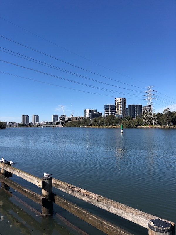 Parramatta River Cycleway North Side Mountain Biking Trail