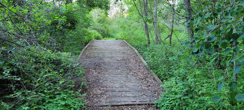 Swamp White Oak Trail Multi Trail - Marshfield, Wisconsin