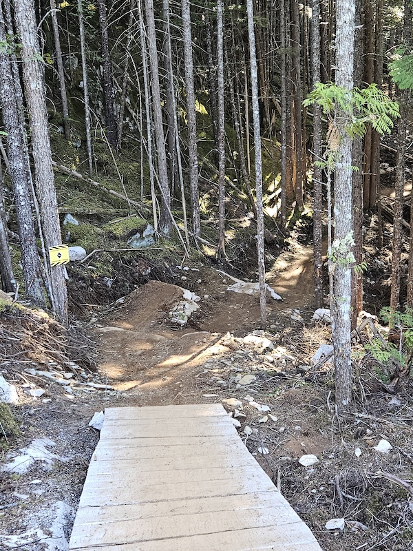 Bear Back Mountain Biking Trail - Terrace, BC