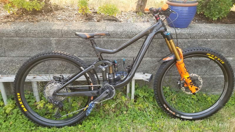 2020 Full Super Custom Carbon Giant Reign For Sale