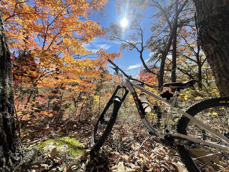 2022 Reeb Sqweeb V4 Frame (Large) For Sale