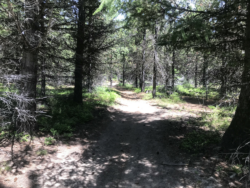 Manastash Lake Dirtbiking Trail - Naches, Washington