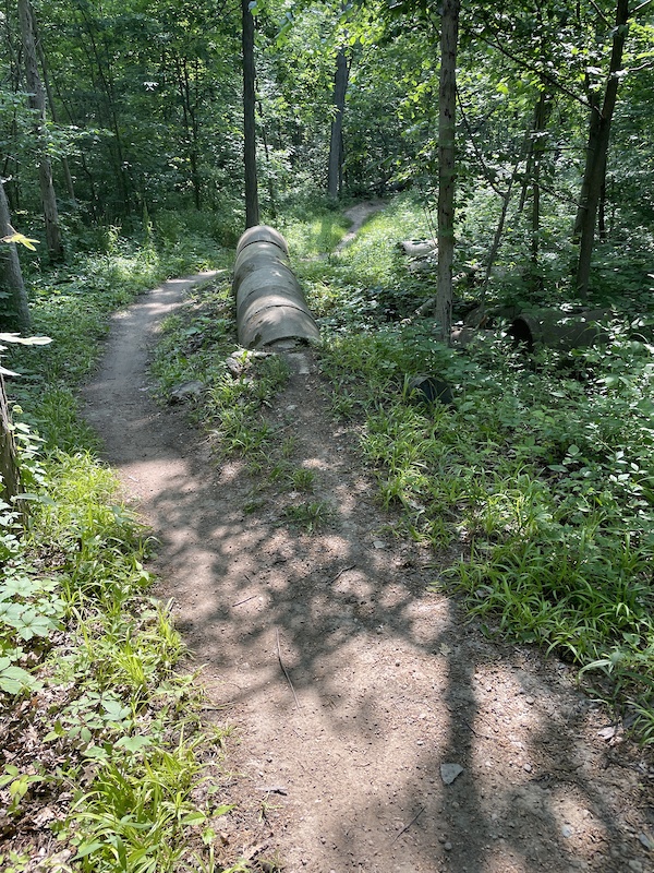 Oakdale Trail - Red-Tail Loop Mountain Biking Trail - Lapeer, MI