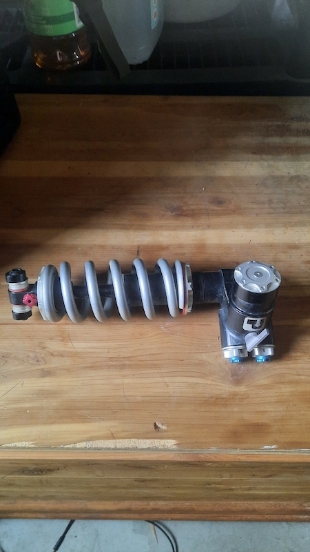 2019 Push elevensix For Sale