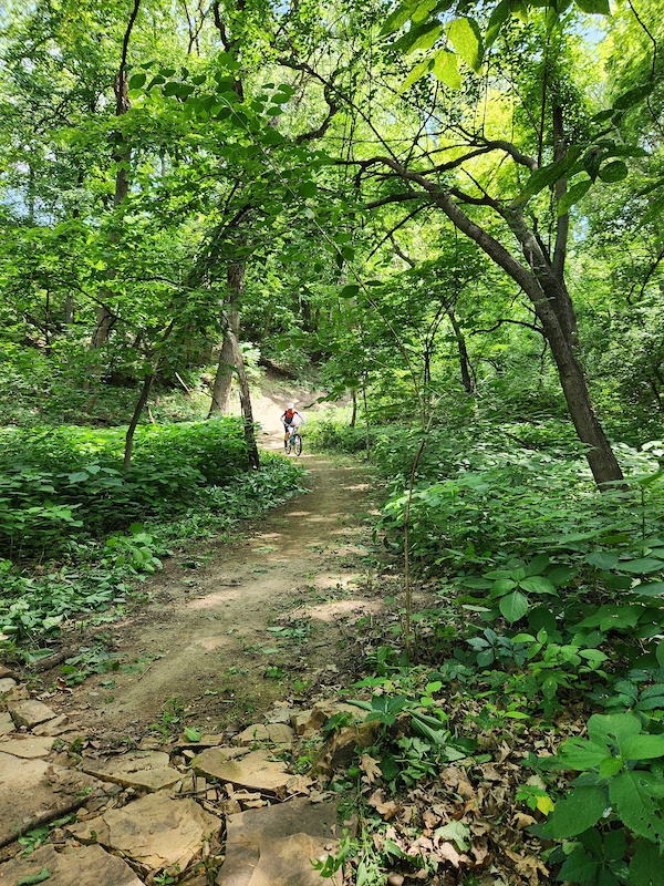 Mandan Park Mountain Biking Trails | Trailforks