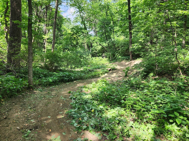 Mandan Park Mountain Biking Trails | Trailforks