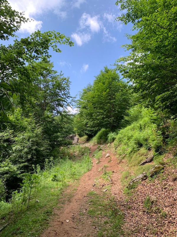 Vermosh - Maja Grebenit Trail Hiking Trail - Shkodër