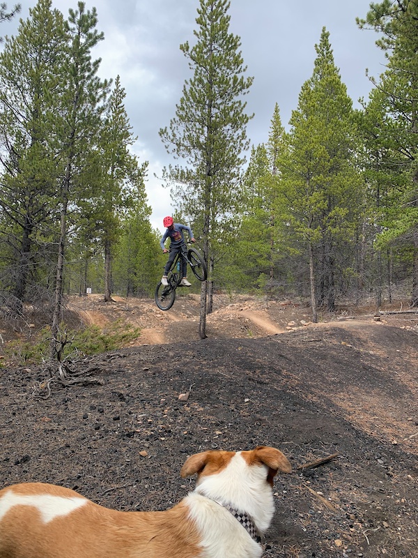 Swamp Angel Mountain Biking Trail - Leadville, CO