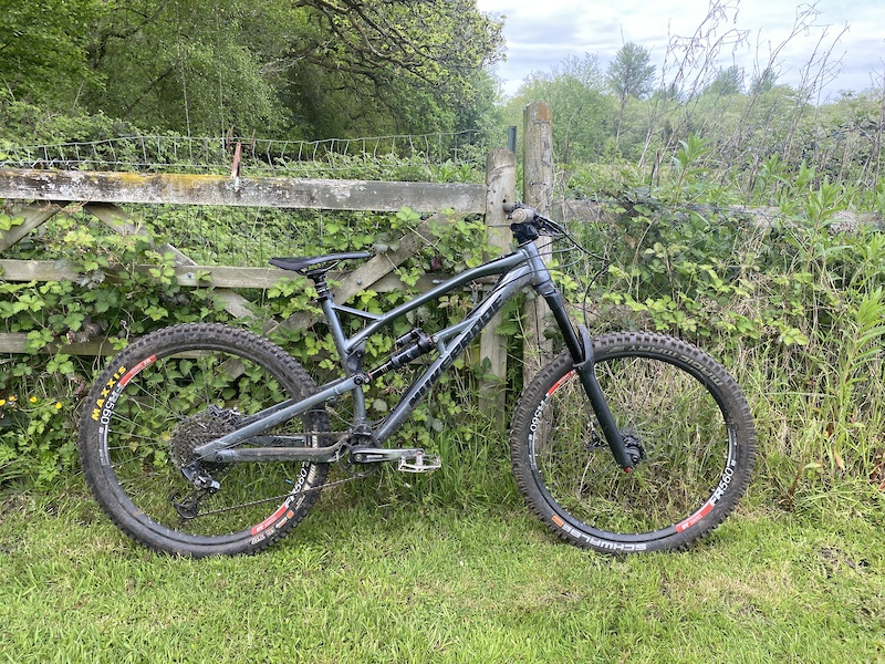 2020 nuke proof mega For Sale