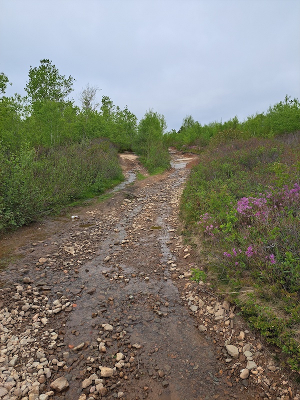 ATVANS #635 Multi Trail - - Nova Scotia | Trailforks