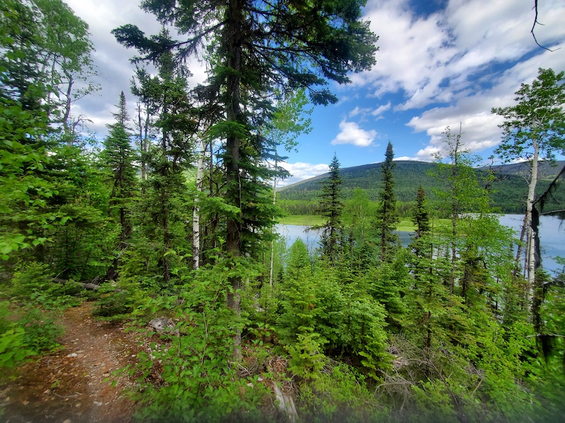 Morfee Lake Trail Multi Trail - Mackenzie, BC