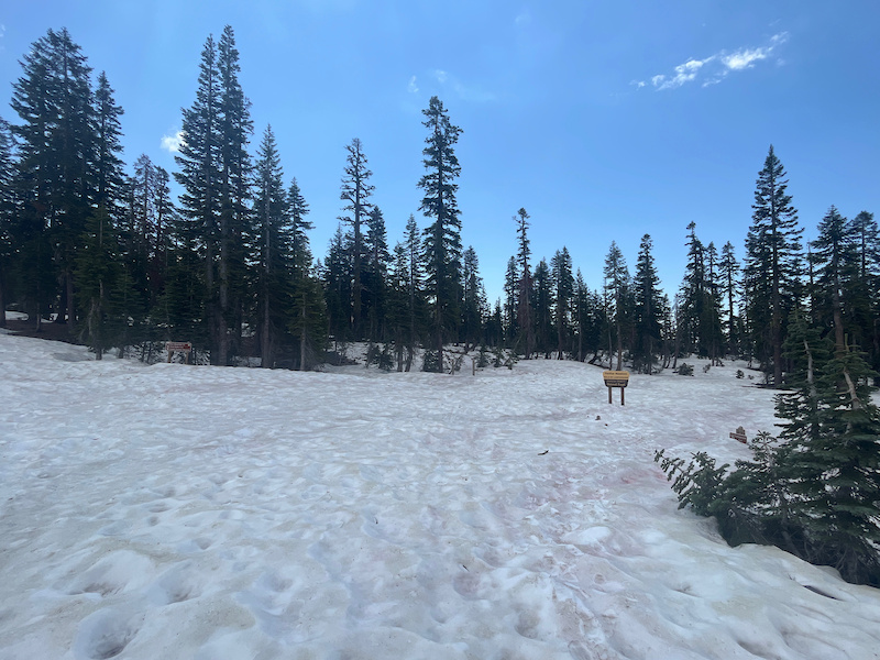 Panther Meadows Trail Hiking Trail - Mount Shasta, CA