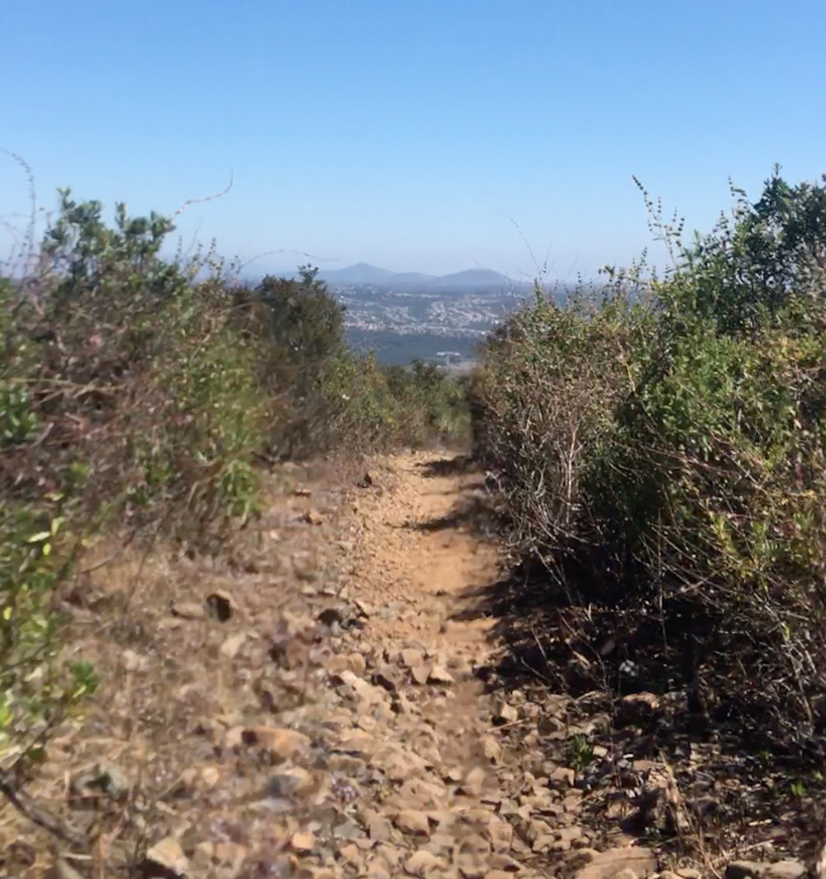 Roadrunner Loop Multi Trail - San Diego, California