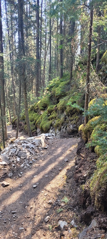 Cloudline Multi Trail - Canmore, Alberta | Trailforks