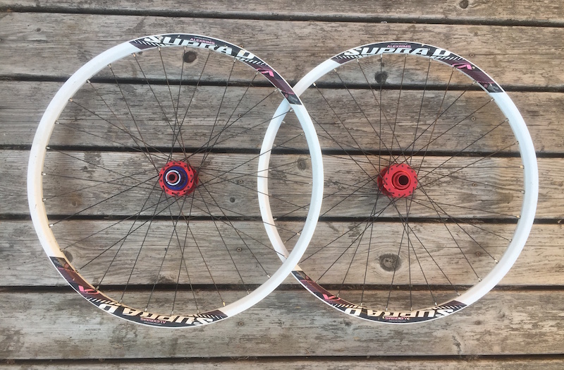 Alex Supra D x Sun Ringlé Jumping Flea wheelset (807) For Sale
