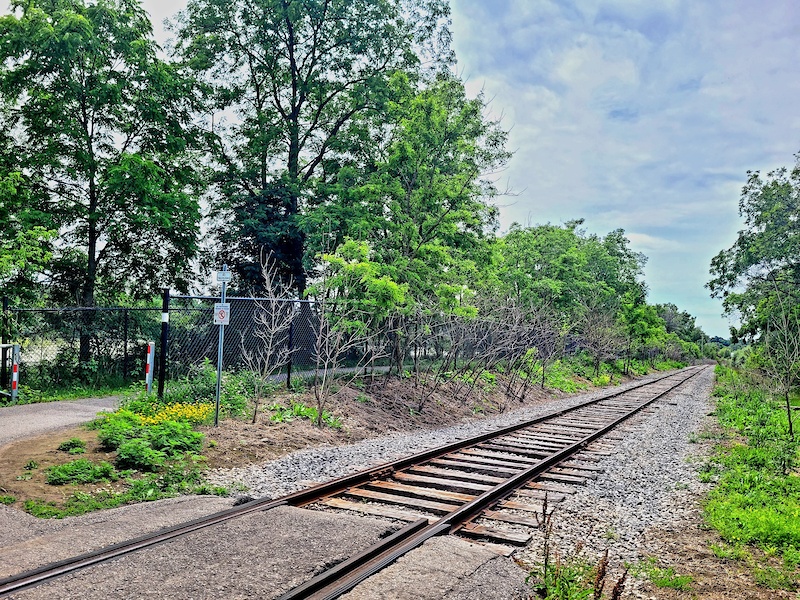 Mill Run Trail Mountain Biking Trail - Cambridge, ON