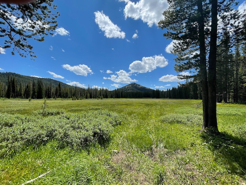 Kirkham Ridge Mountain Biking Trail - Stanley, Idaho