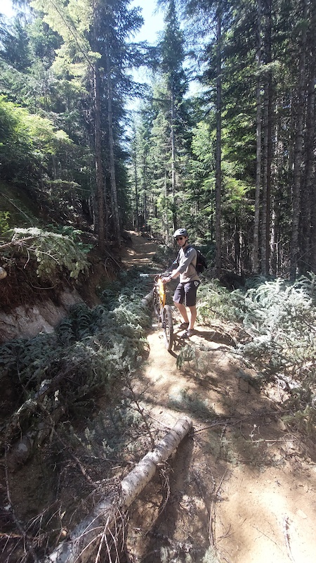 Blackcomb Bench Climb - Upper Multi Trail - Whistler