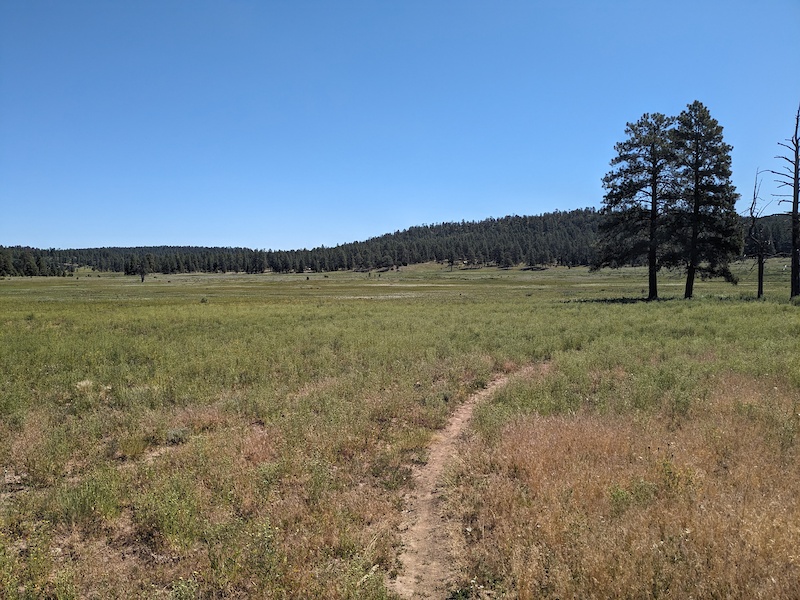2023 Zuni NMES Mountain Biking Route | Trailforks