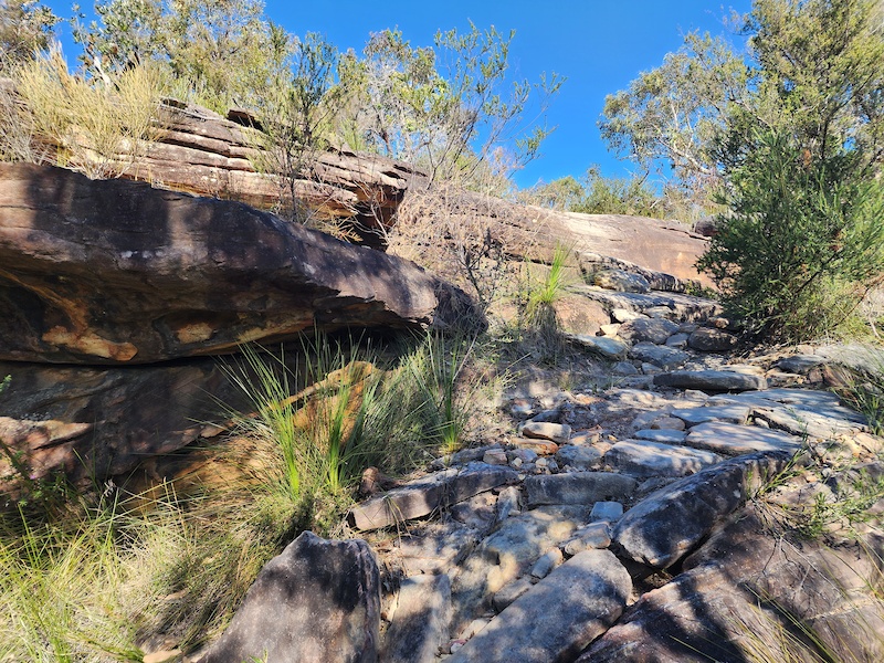 Dutch Rudder Mountain Biking Trail - Sydney | Trailforks