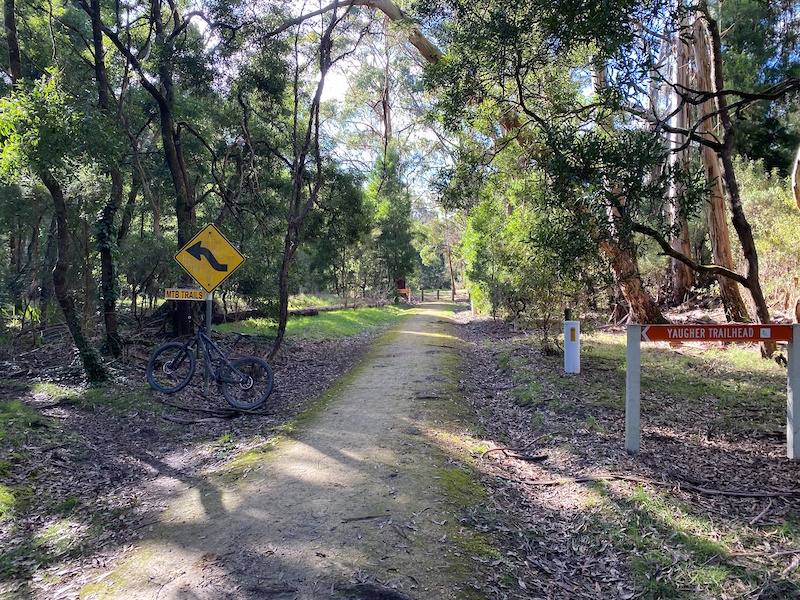 Rail Trail to Yaugher via Boundary Road Mountain Biking Trail - Forrest
