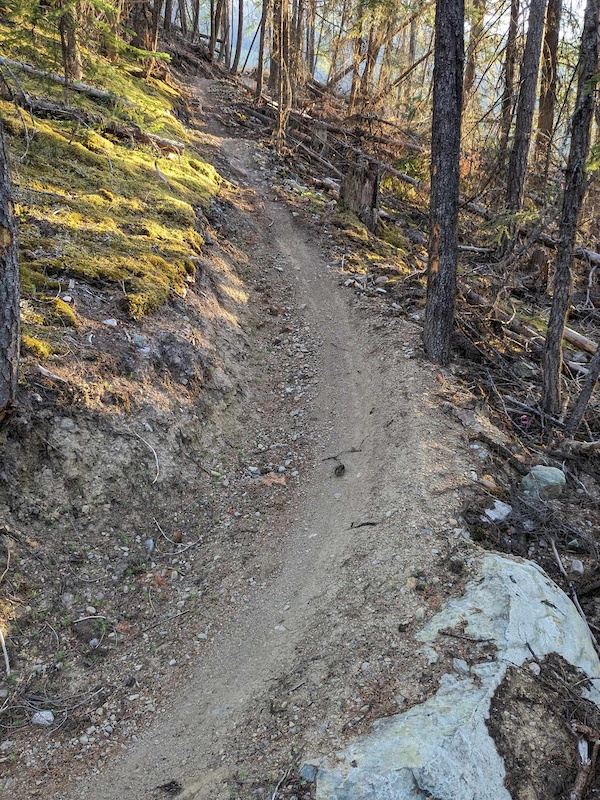 Lower Whooha Mountain Biking Trail - Bralorne, BC