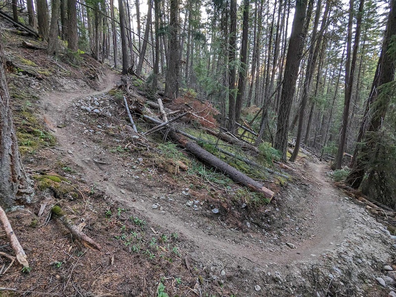Lower Whooha Mountain Biking Trail - Bralorne, BC