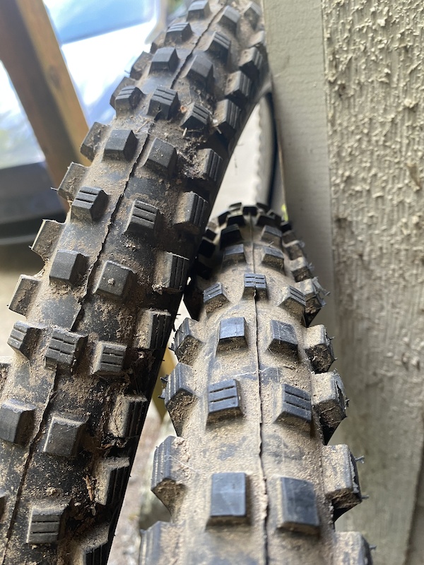 Like-New Schwalbe Magic Mary For Sale