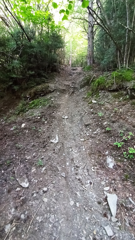Sierra Negra Corta Picalvo Inferior Multi Trail - Castejón de Sos