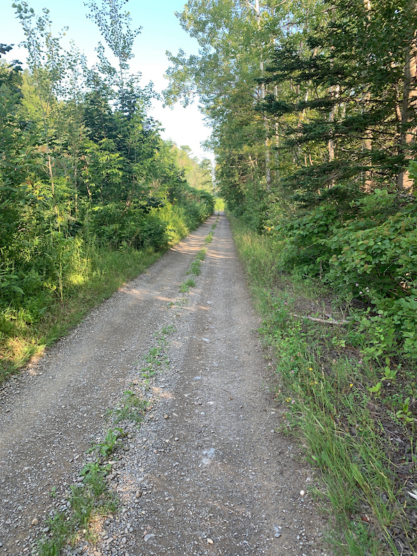 Perth-Andover Rail Trail Mountain Biking Trail - Perth - Andover, NB