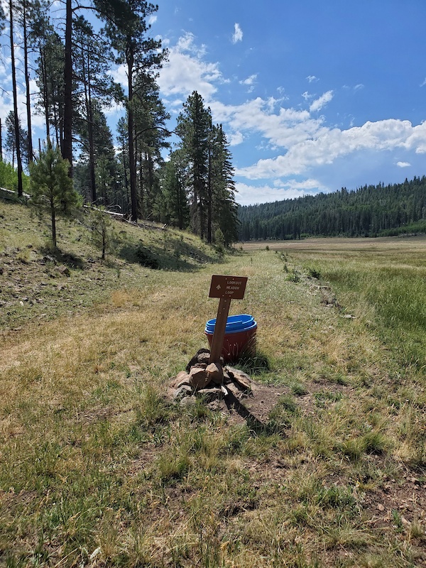Lookout Meadow Loop Trail Multi Trail - Alpine, Arizona