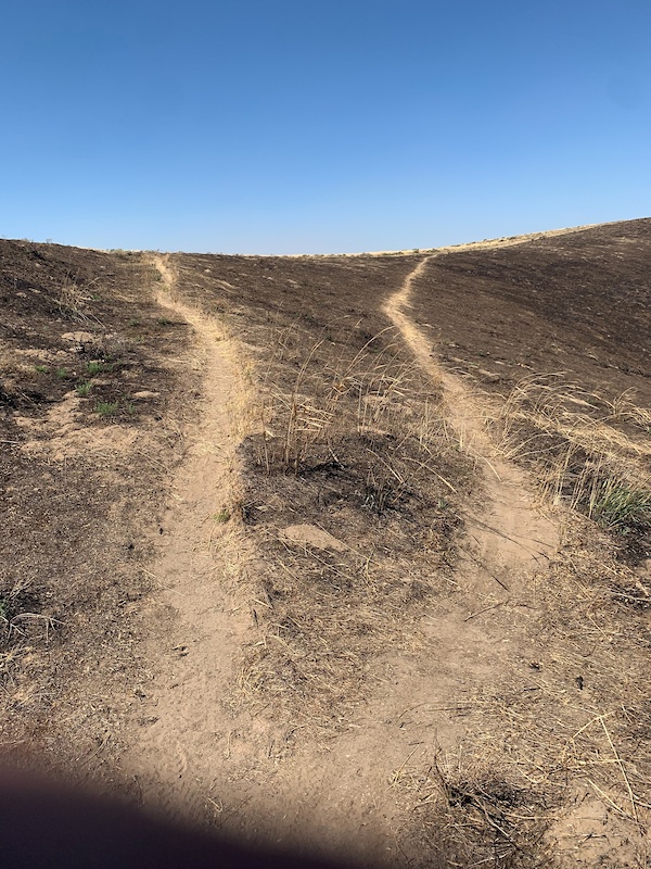 Mc Bee Hill, Benton City Mountain Biking Trails | Trailforks