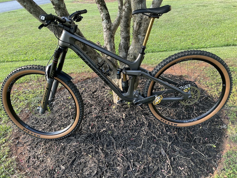 2021 Custom Transition Sentinel For Sale