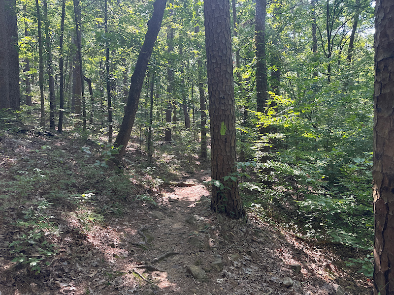 Base Trail Hiking Trail - Little Rock, Arkansas