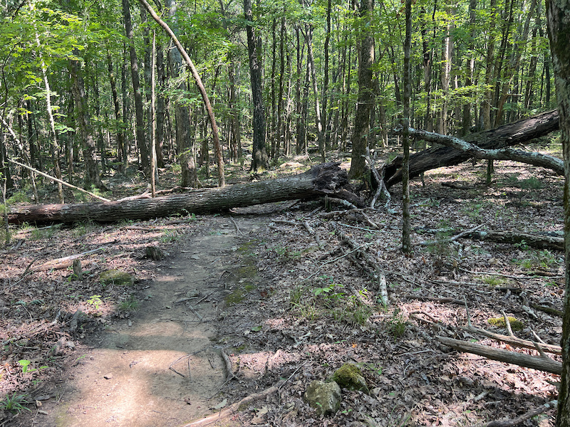 Legacy Loop Trail Mountain Biking Trail - Huntsville