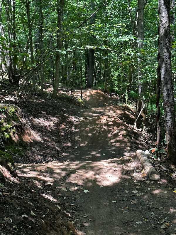 Cedar Valley Bike Park, Davidson Mountain Biking Trails | Trailforks