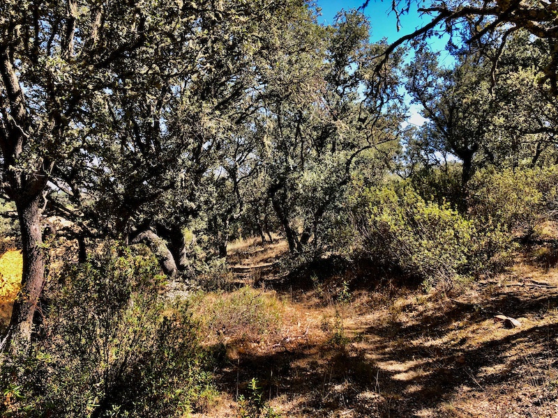 Zamora (Provincia) Mountain Biking Trails | Trailforks