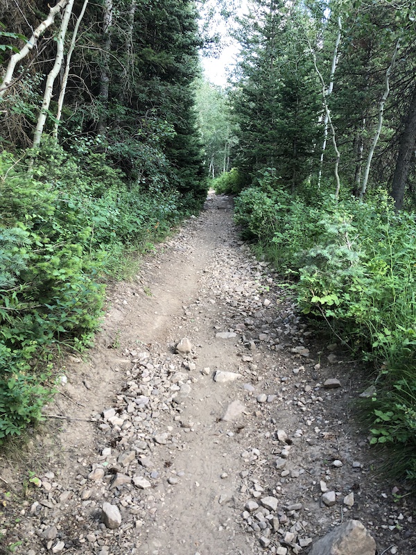 Mineral Fork Trail Hiking Route | Trailforks